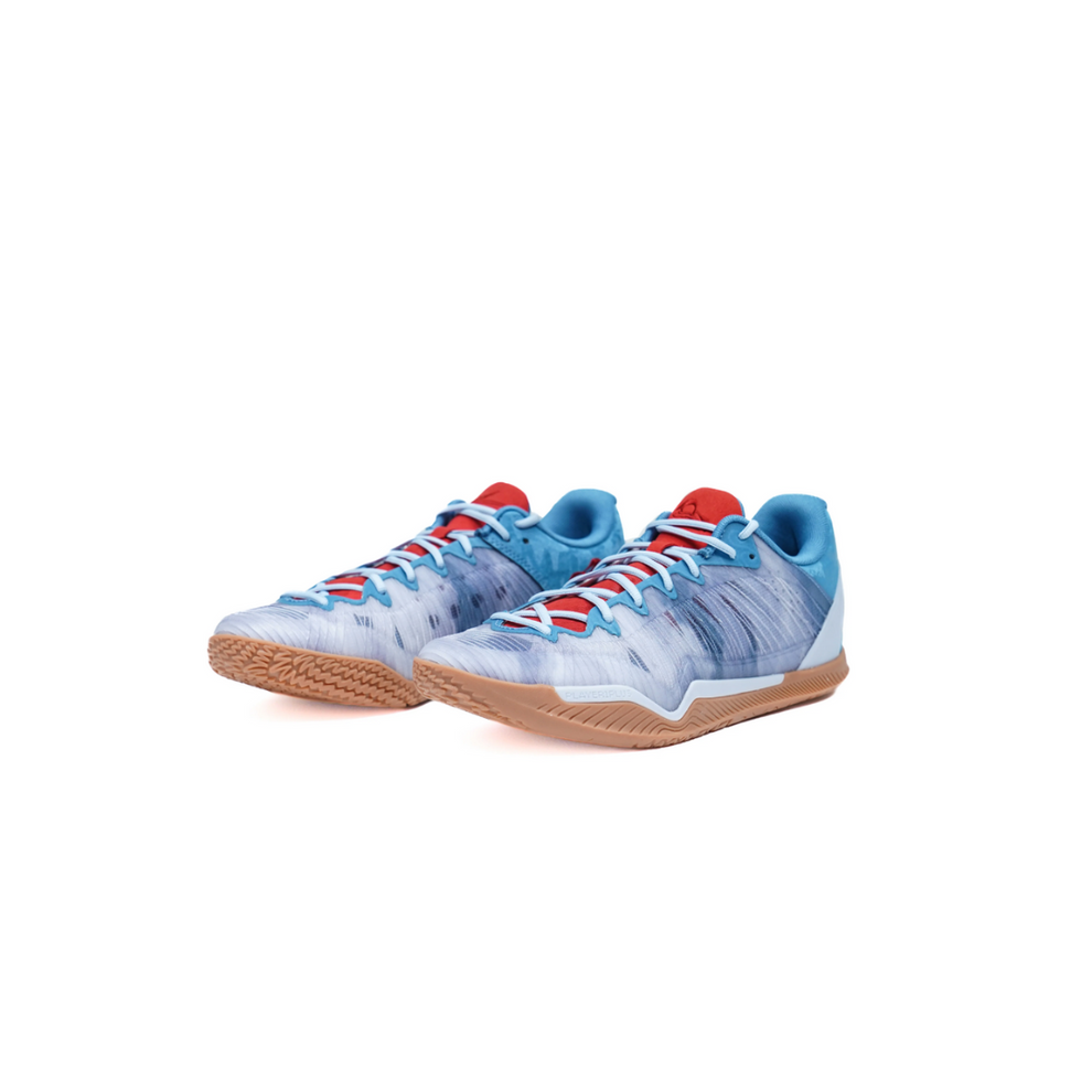 Player 1 Plus Dodo – Box and 1